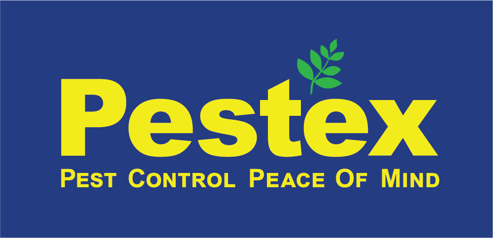 Pestex – Pestex is about pest control peace of mind